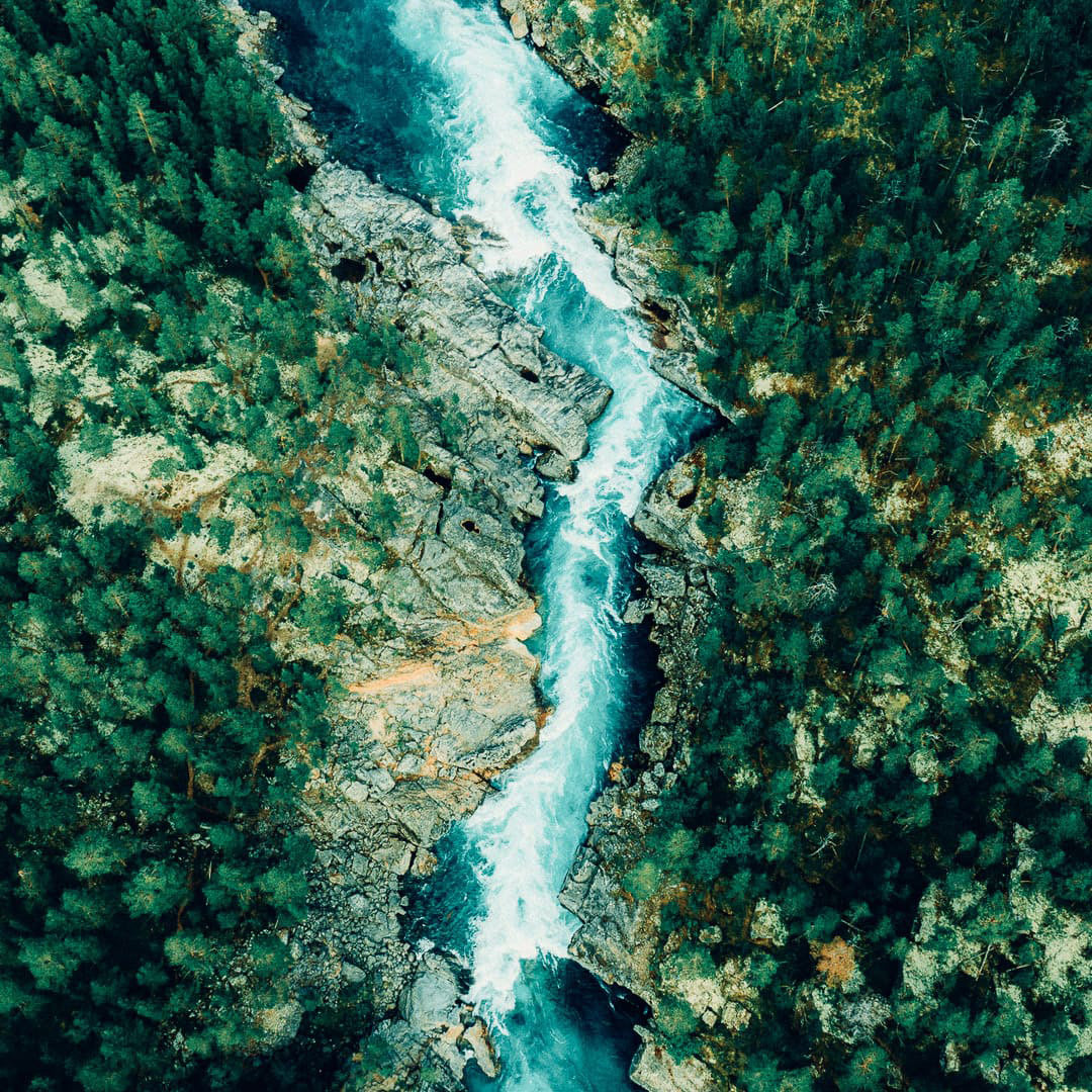 Rosemary + Mint | Body Wash | Alpine Provisions